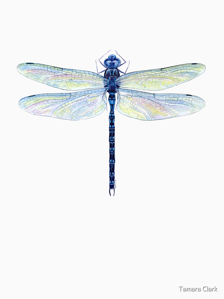 "Spatterdock Dragonfly" T-shirt for Sale by edenart | Redbubble ...