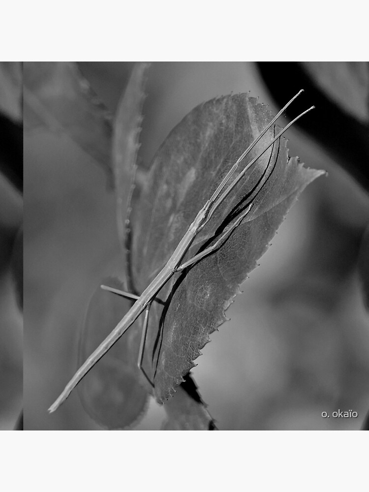 "r960 / New Finition 2021 " Le Légendaire Phasme du Jardin " (h) Olavia ...