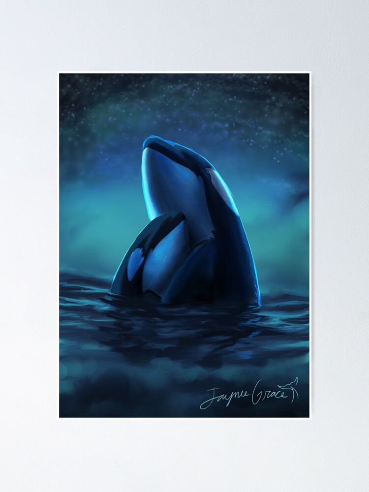 "Killer Whale Hug" Poster by jayneegraceart | Redbubble