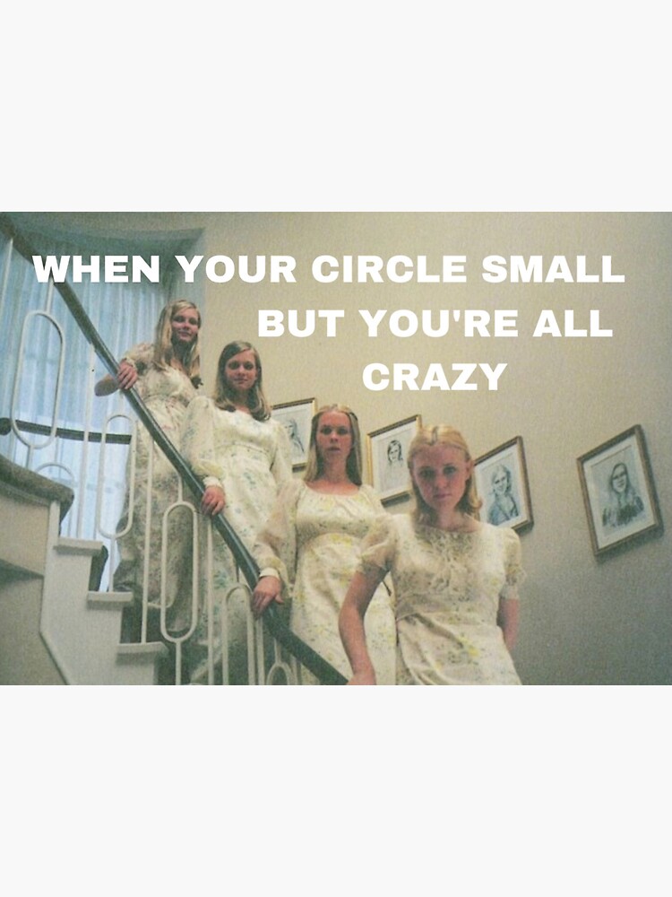 "when your circle small but you're all crazy" Sticker for Sale by ...