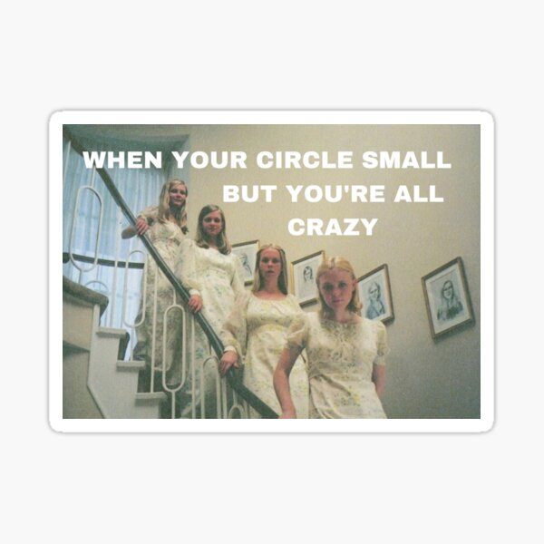 "when your circle small but you're all crazy" Sticker for Sale by ...