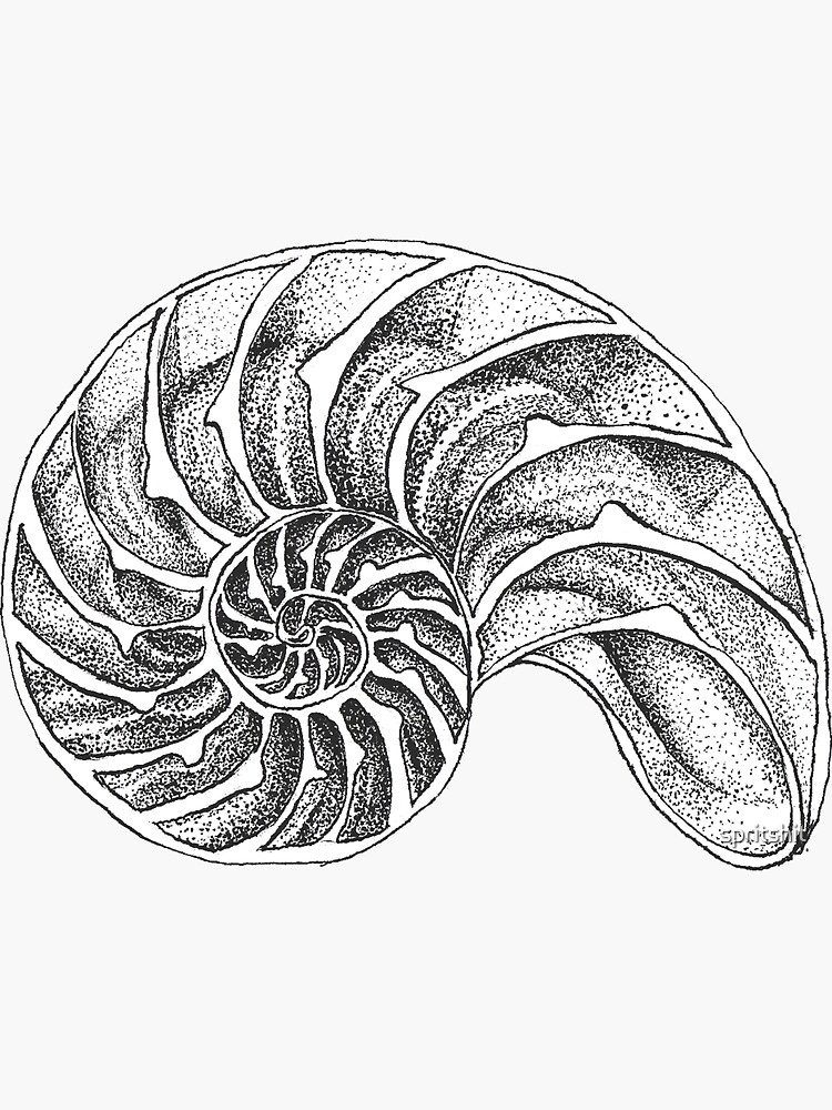 "Fibonacci" Sticker by spritshit | Redbubble
