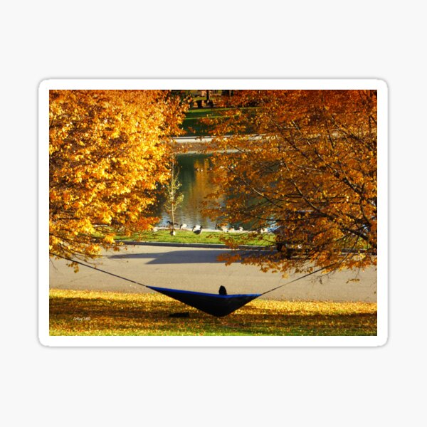 "An Afternoon in a hammock" Sticker for Sale by Shiva77 | Redbubble