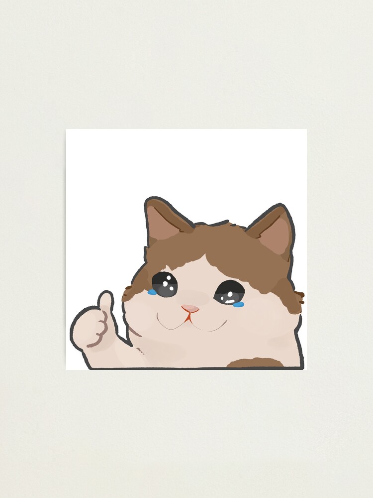 Lámina fotográfica «meme gato llorando» de lucianavee | Redbubble