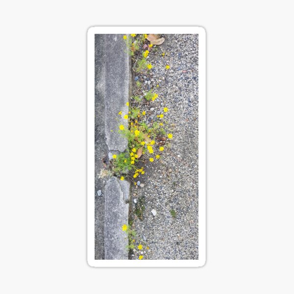 "small and beautiful vitality" Sticker for Sale by SUMMERGREEN8 | Redbubble