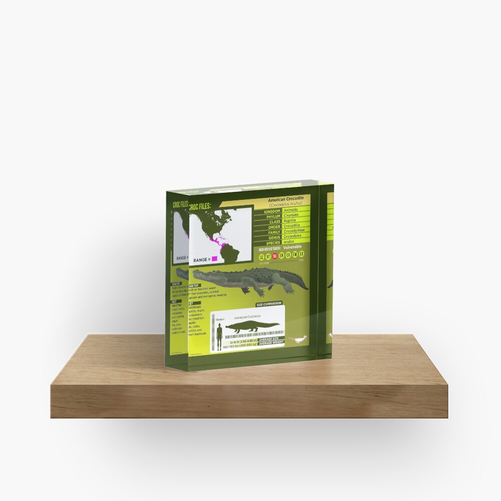 "Croc Files: American Crocodile" Photographic Print for Sale by ...