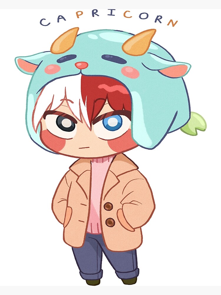 What Is Shoto Todoroki Zodiac Sign at Graig White blog