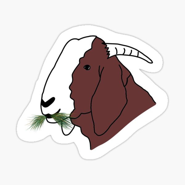 "boer goat" Sticker for Sale by anscandart | Redbubble