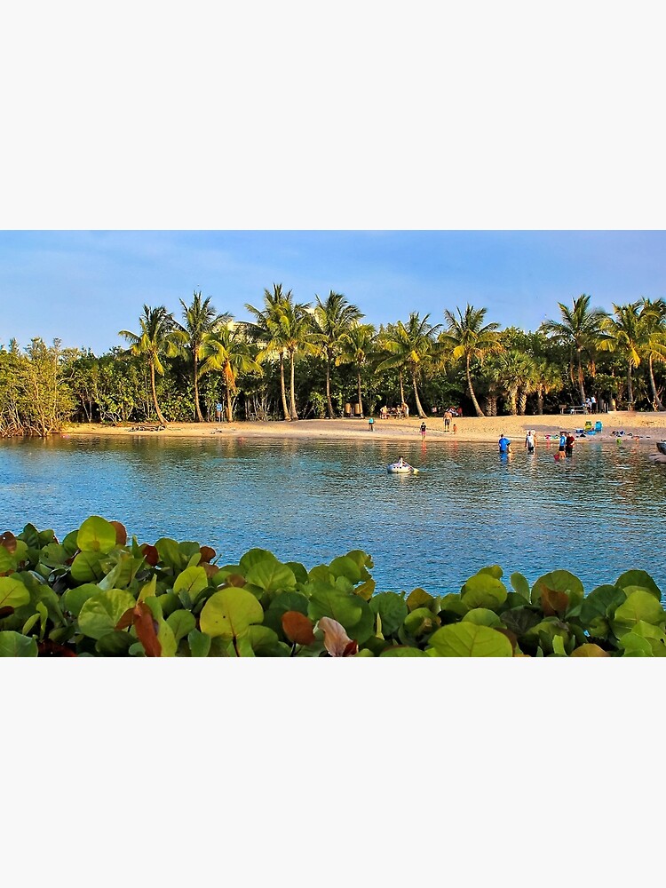 "Dubois Park Lagoon, Jupiter FL" Framed Art Print by jupiterarts ...