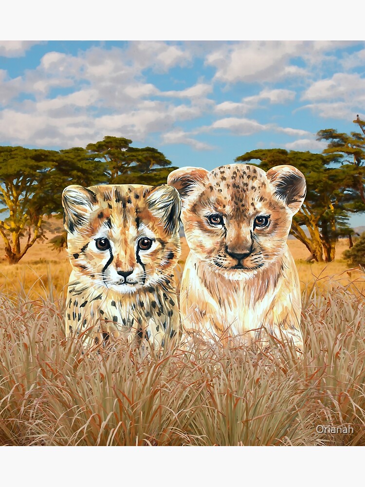 "Sweet Cheetah and Lion Cub friends" Poster for Sale by Orianah | Redbubble