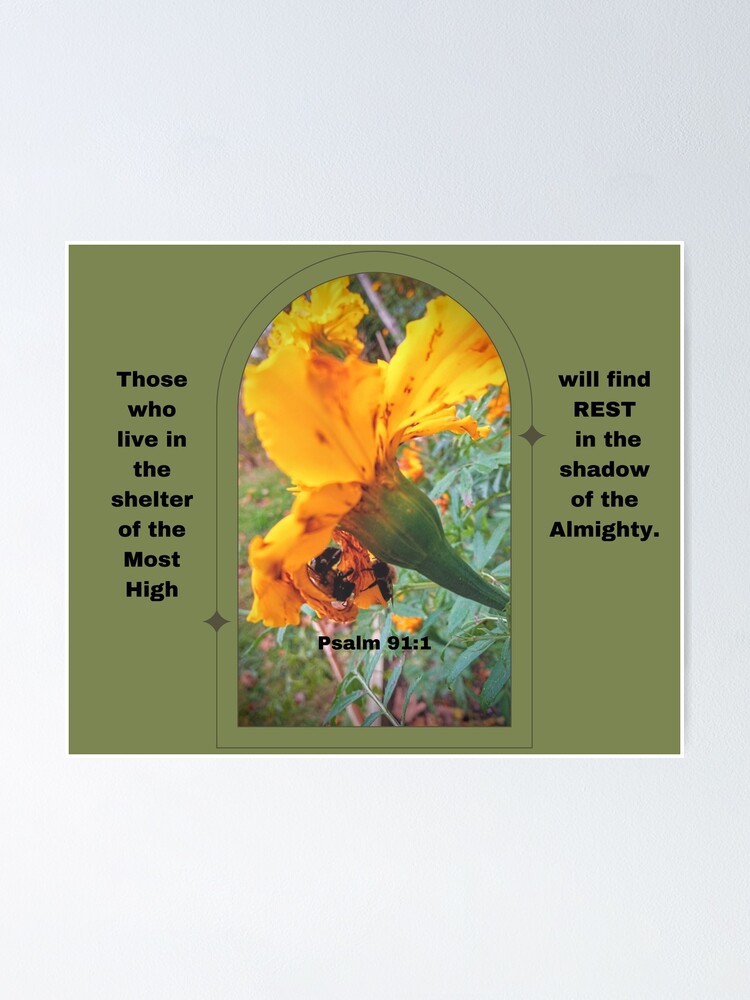 Póster «El dúo de Sleepy Bees encuentra descanso en un refugio provisto ...