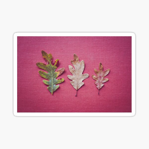 "Three Leaves" Sticker by riotjane | Redbubble