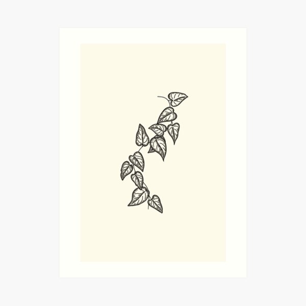 "pothos vine line art tattoo procreate design" Art Print for Sale by ...