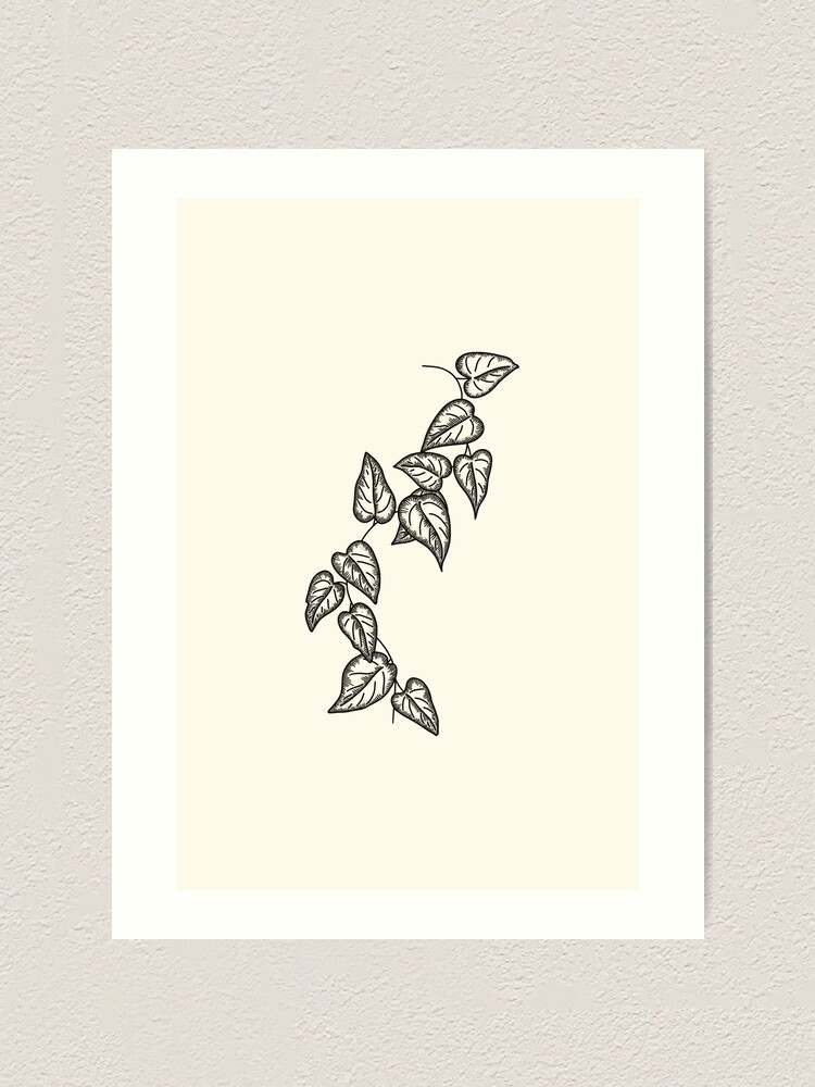 "pothos vine line art tattoo procreate design" Art Print for Sale by ...