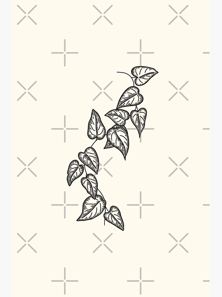 "pothos vine line art tattoo procreate design" Art Print for Sale by ...