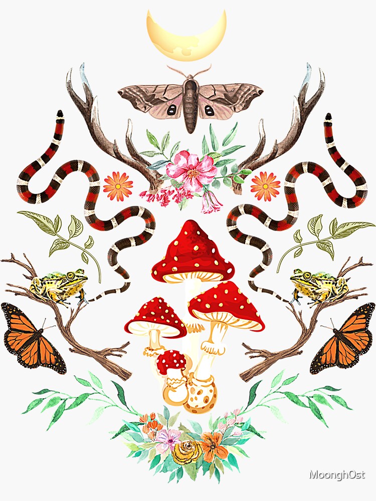 "Cottagecore Forestcore Moth Luna Moth Moon Moth Butterfly Snake Nature ...