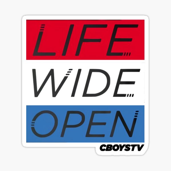 Pegatina «Carrera de fábrica de Life Wide Open RWB» de blockerbab ...