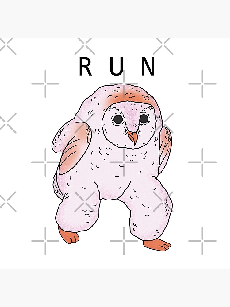 "Running Owl Meme" Poster for Sale by feannaart | Redbubble