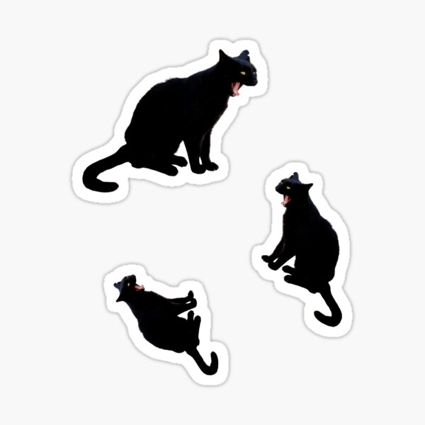"funny black cat sticker set" Sticker by AmmarIbrahim47 | Redbubble