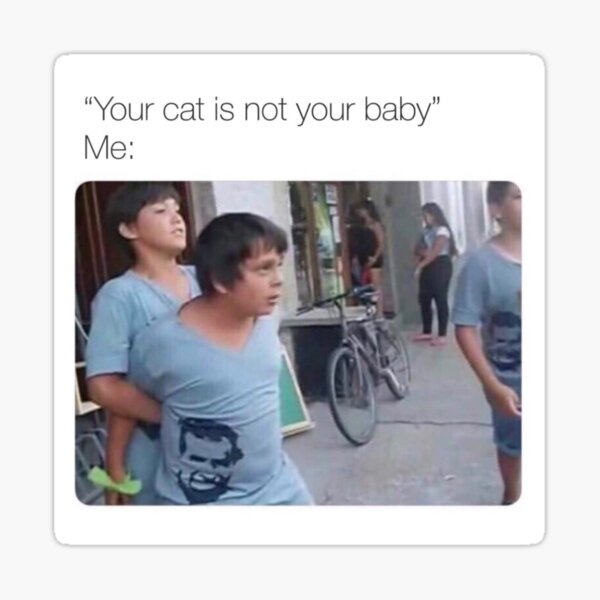 "Cat meme" Sticker for Sale by Lpbdesign | Redbubble