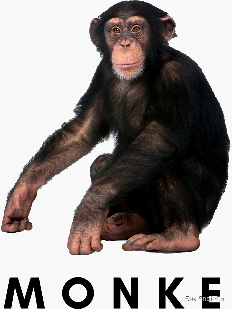 "Basically I Am Monke" Sticker for Sale by Sus-Snail-Co | Redbubble