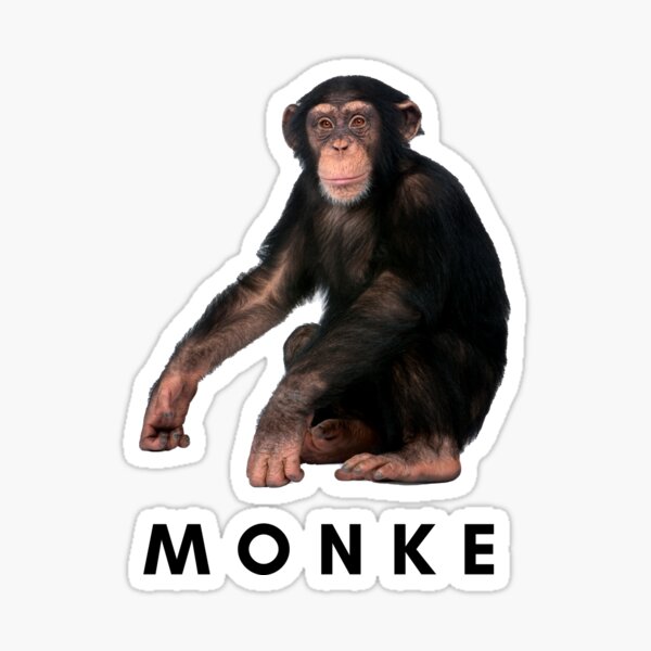 "Basically I Am Monke" Sticker for Sale by Sus-Snail-Co | Redbubble