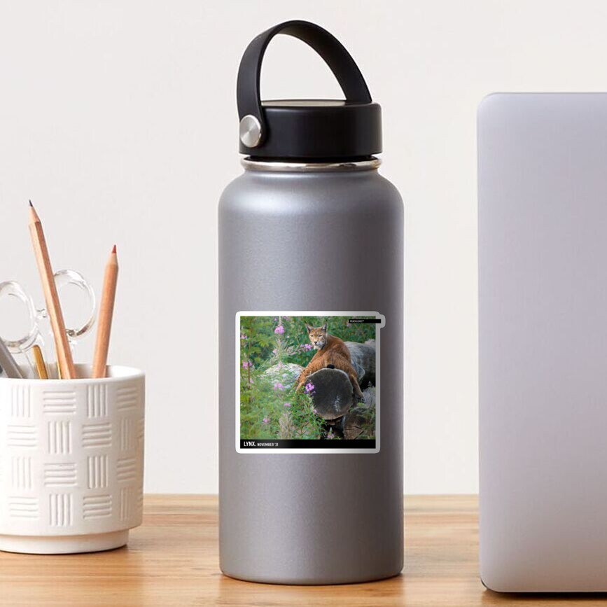 "Lynx by Peachleaks™ (November 2021)" Sticker for Sale by peachleaks ...