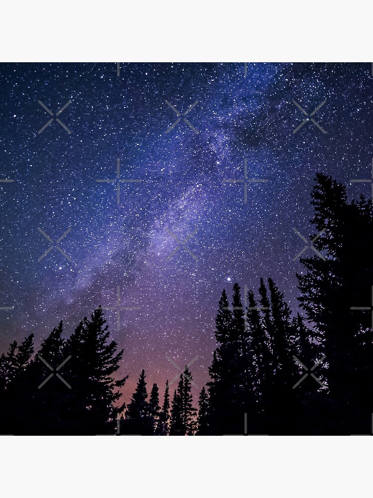 "Beautiful Starry Forest | Night Sky Above Forest | Stars Over Forest ...