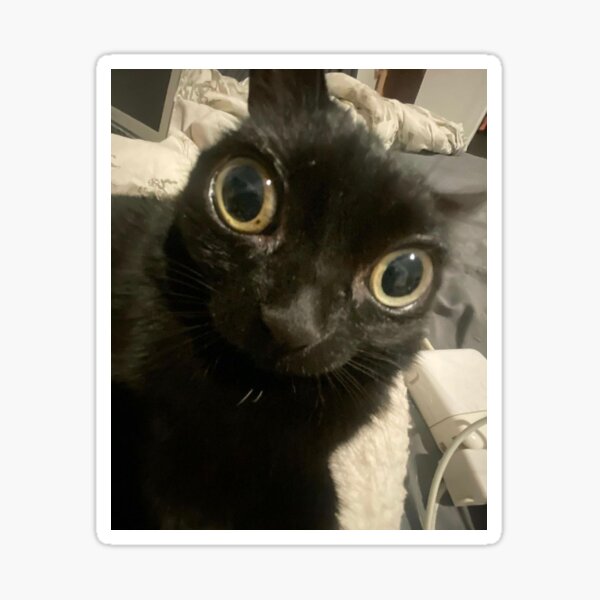 "BIGFOOT JINX " Sticker for Sale by jdsnuts13 | Redbubble