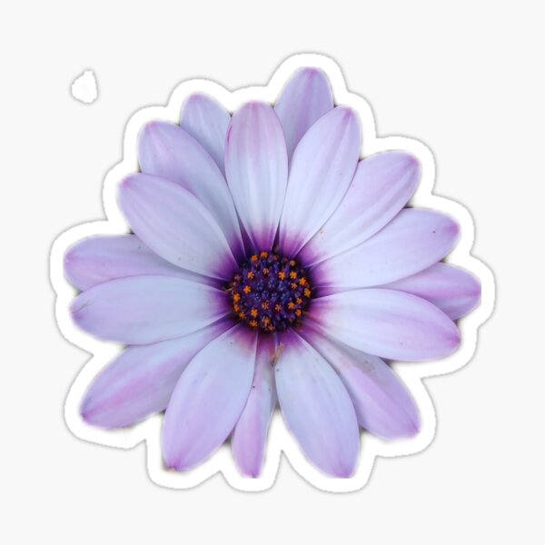 "Simple Flower" Sticker by Ritaasaurus | Redbubble