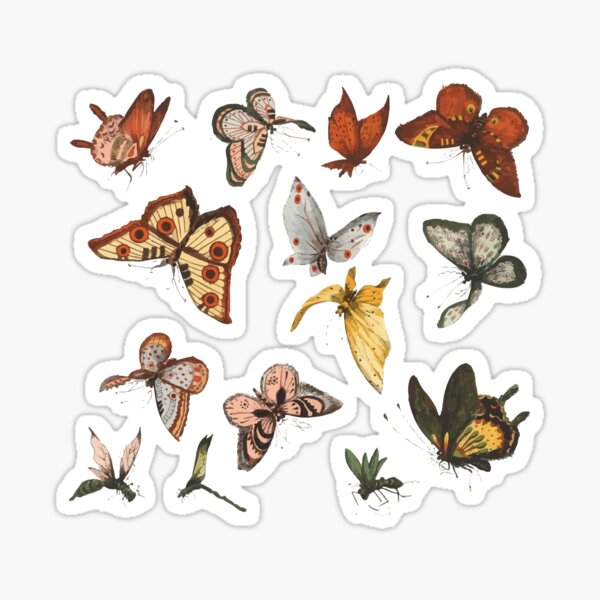 "Moth Dark Aesthetic Goblincore Collage" Sticker for Sale by kdiamond1 ...