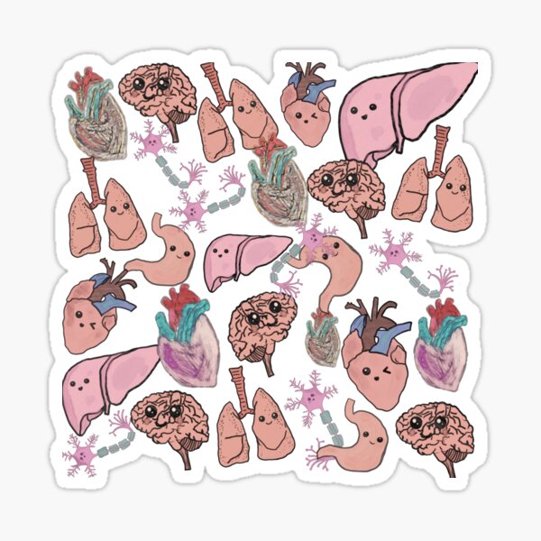 "Cute organs" Sticker for Sale by Tamm-art | Redbubble