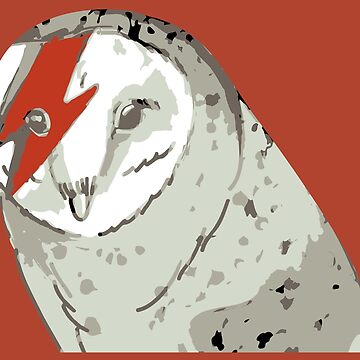 "Labyrinth movie jareth barn owl nature animal beautiful bird ...