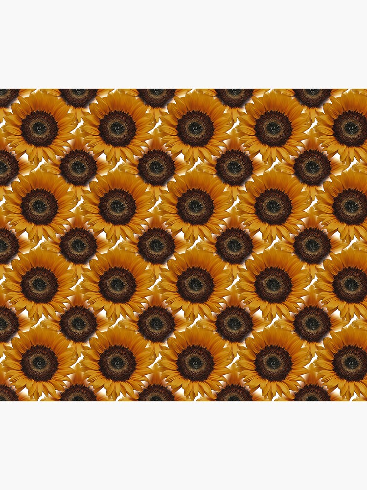 "Summer joyful color image of a sunflower, flowers that rotates behind ...