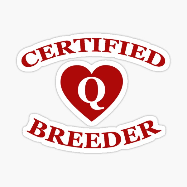"Certified QOH Breeder" Sticker for Sale by BleachedCo | Redbubble