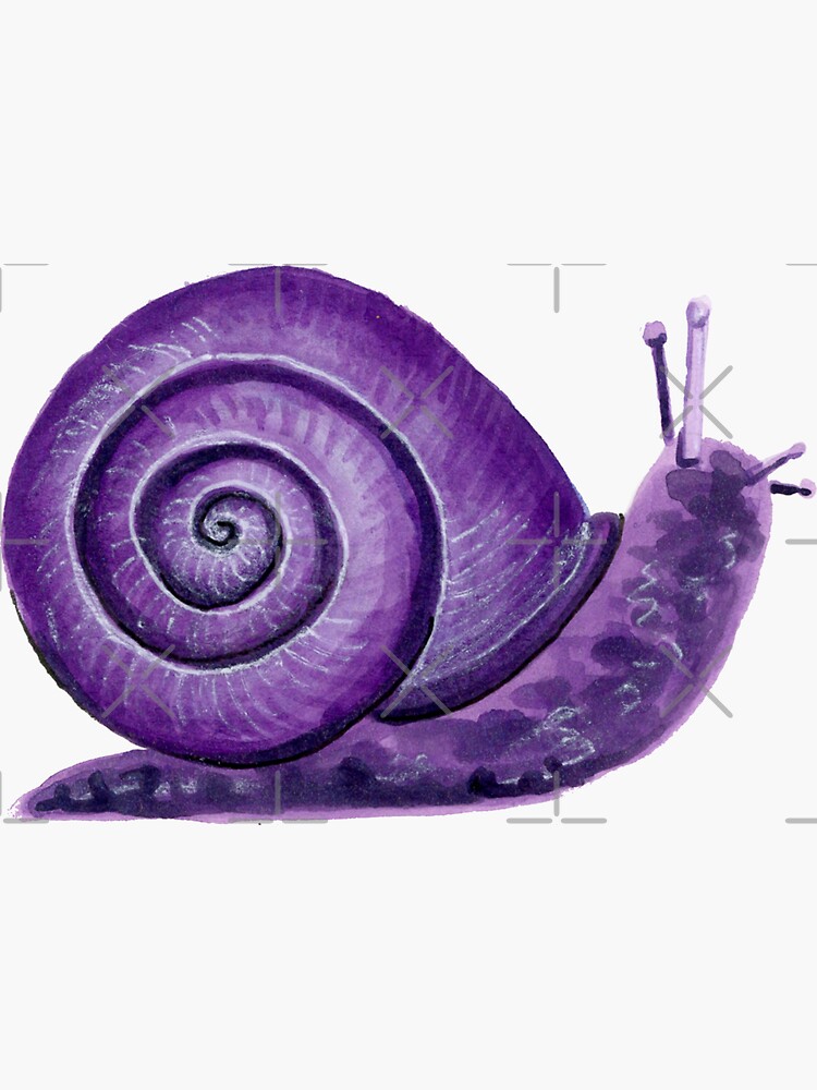 "Purple Snail Ink Painting" Sticker for Sale by VivianRosalee | Redbubble