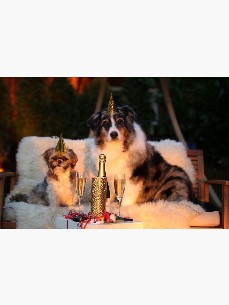 "Cute Dogs Celebrating" Poster for Sale by AngelaBlackArt | Redbubble