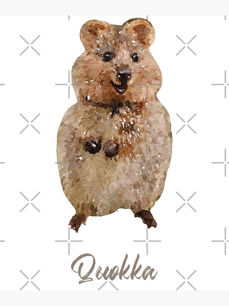 "Quokka, quokka art, watercolor, wildlife in Australia quokka benefit ...