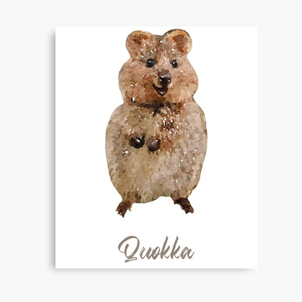 "Quokka, quokka art, watercolor, wildlife in Australia quokka benefit ...