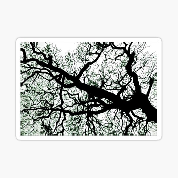 "Branching Out" Sticker for Sale by MarkDekko | Redbubble