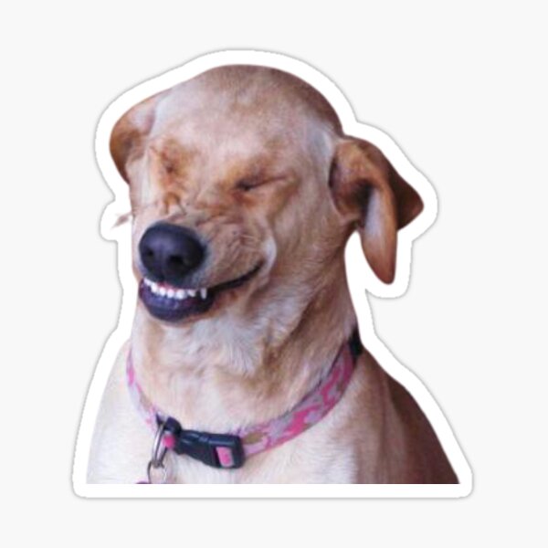 "Funny Dog Stickers" Sticker for Sale by KawaiiBooth | Redbubble