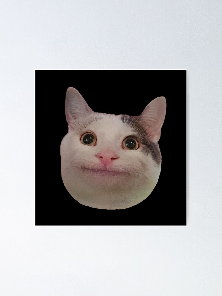 "Beluga Cat Meme Face Smiling" Poster for Sale by fomodesigns | Redbubble