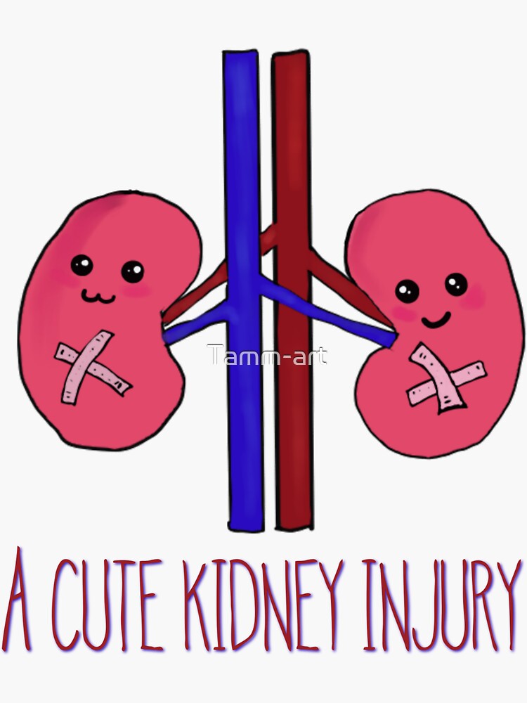 "A cute kidney injury " Sticker for Sale by Tamm-art | Redbubble