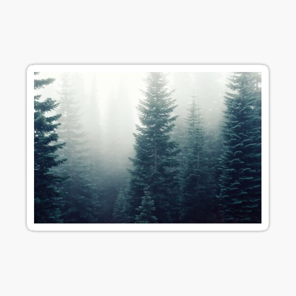 "Gloomy forest in the fog" Sticker for Sale by Mariaegea | Redbubble