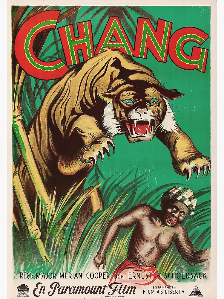 "Chang" Poster for Sale by TIGERRIFIC | Redbubble