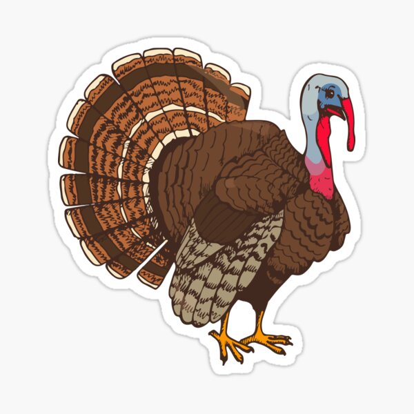 "turkey Bird" Sticker for Sale by zaher97 | Redbubble