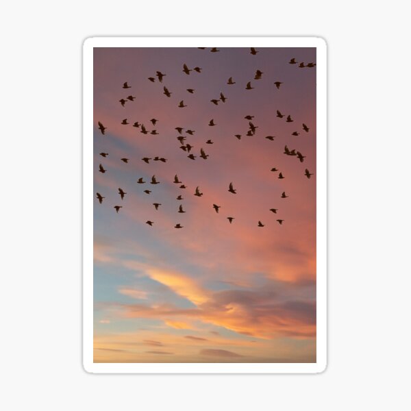 "Homeward Bound" Sticker for Sale by Serenity-Arts | Redbubble