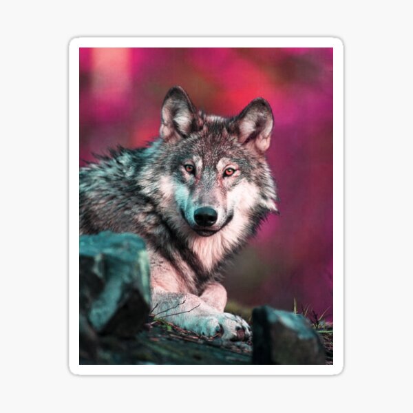 " Lone wolf " Sticker for Sale by stuffulike | Redbubble