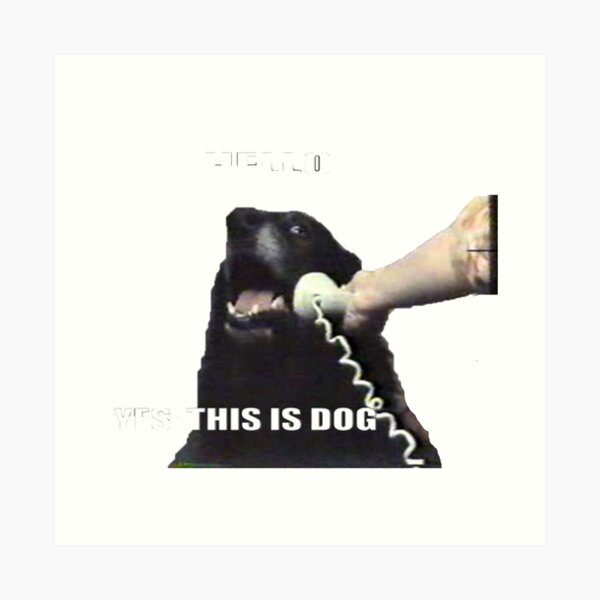 "This is Dog Meme | Funny Meme" Art Print for Sale by memeology69 ...