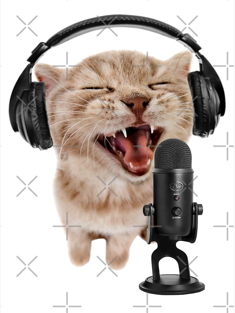 "Rapping Cat Meow Rap Meme " Poster for Sale by fomodesigns | Redbubble